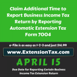 E-file for an Extension on Your Business Income Tax Today! | TaxExcise ...